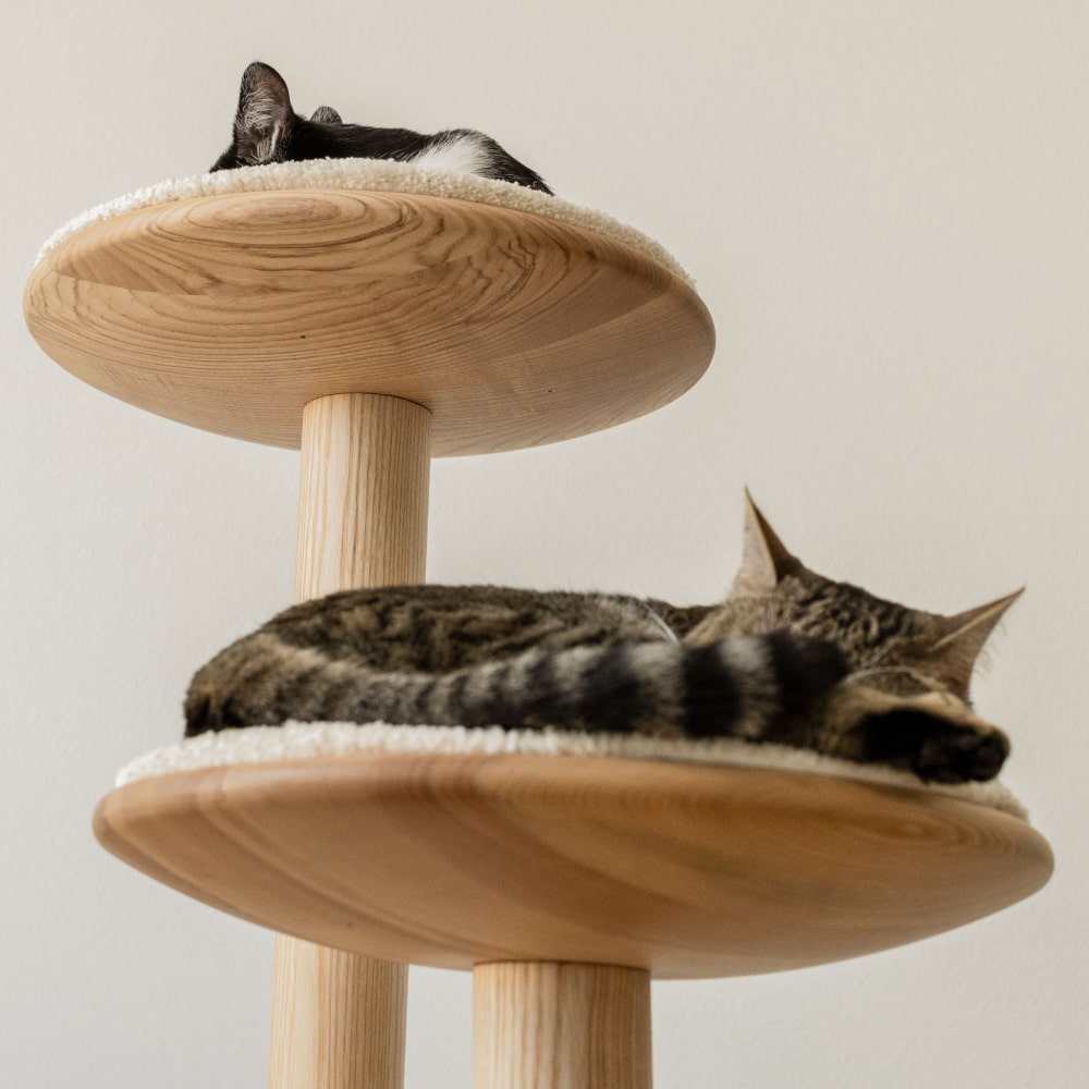Bao Modern Wooden Cat Tree For Beautiful Homes | MAU – Mau