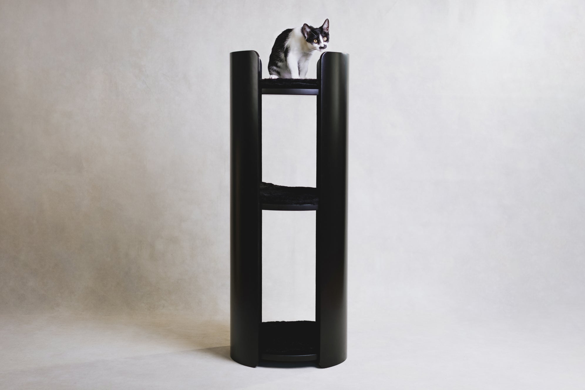 Castillo Plywood Bended Cat Tree, Modern Cat Tree, Mau Lifestyle