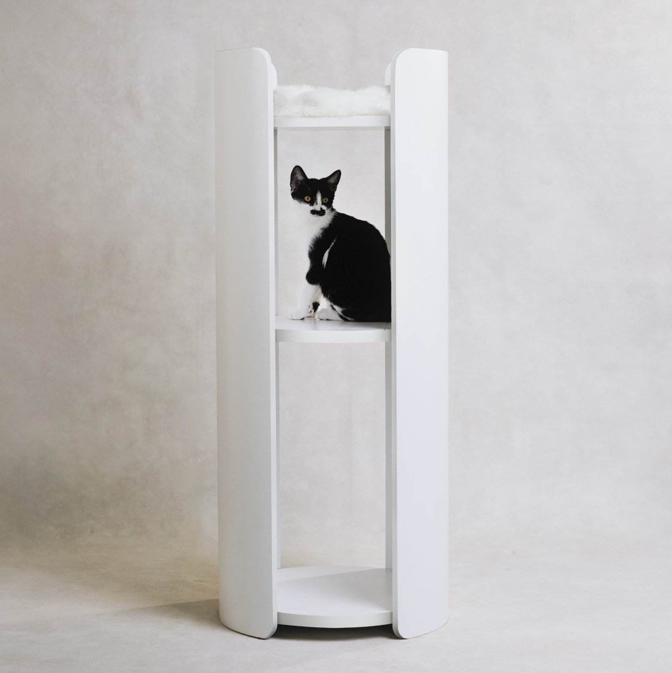 Castillo Plywood Bended Cat Tree, Modern Cat Tree, Mau Lifestyle