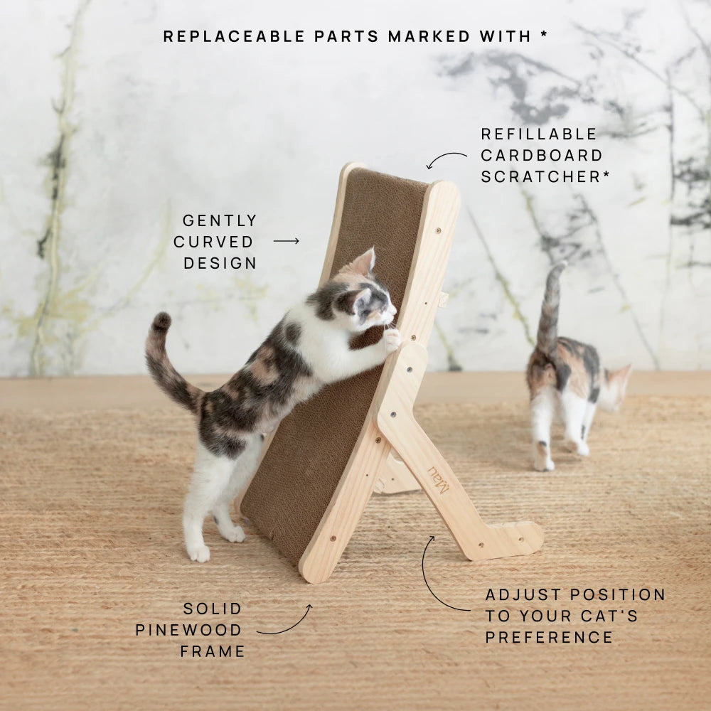 scratchboard for cats