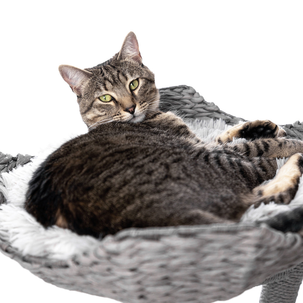 Real Tree Cat Furniture, Luxury Cat Tower, 4 Tier Cat Tower – Mau