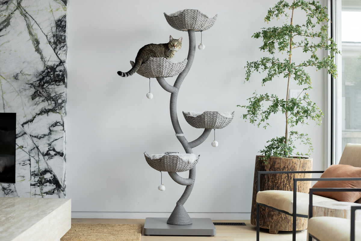 Real Tree Cat Furniture, Luxury Cat Tower, 4 Tier Cat Tower – Mau