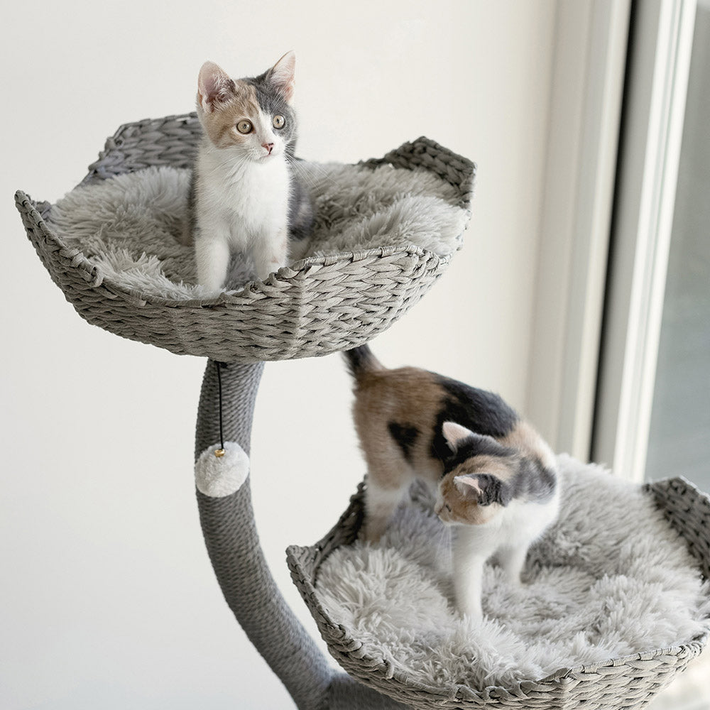Ivy 3 Cat Tree, Scratching Post, Luxury Cat Tower, 3 Tier Cat Tower – Mau