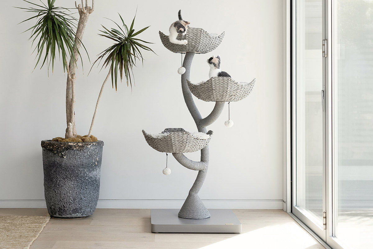 Ivy 3 Cat Tree, Scratching Post, Luxury Cat Tower, 3 Tier Cat Tower – Mau