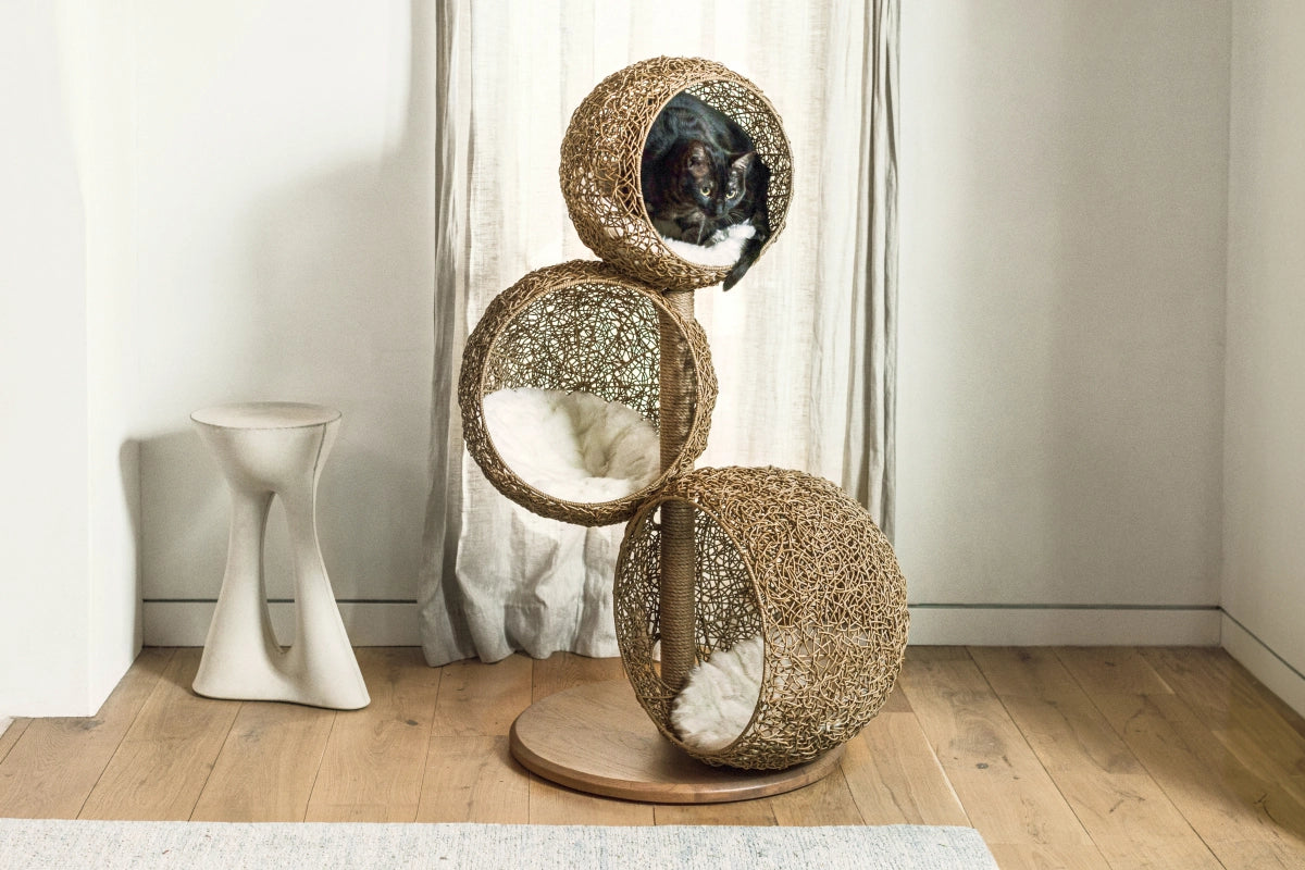 Lua Modern Cat Tree For Beautiful Homes | MAU – Mau