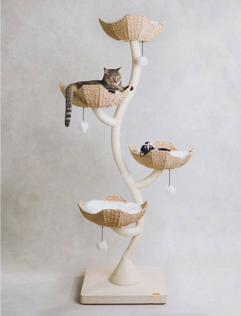 About Us | Mau Luxury Cat Furniture