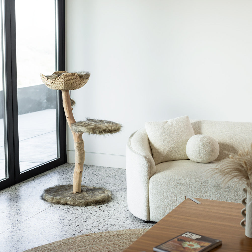 Uni Basket – Wooden Cat Tree - Unique Cat Tree – Cat Tower | Mau