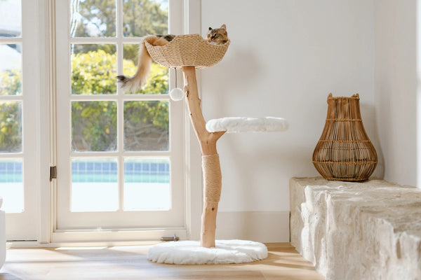 Modern Cat Trees, Best Selling Cat Trees, Cat Towers, Luxury Cat Trees ...