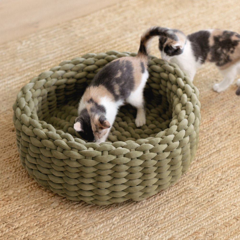 Vevo Single – Velvety Cat Bed Basket - Irresistible to cats and humans ...