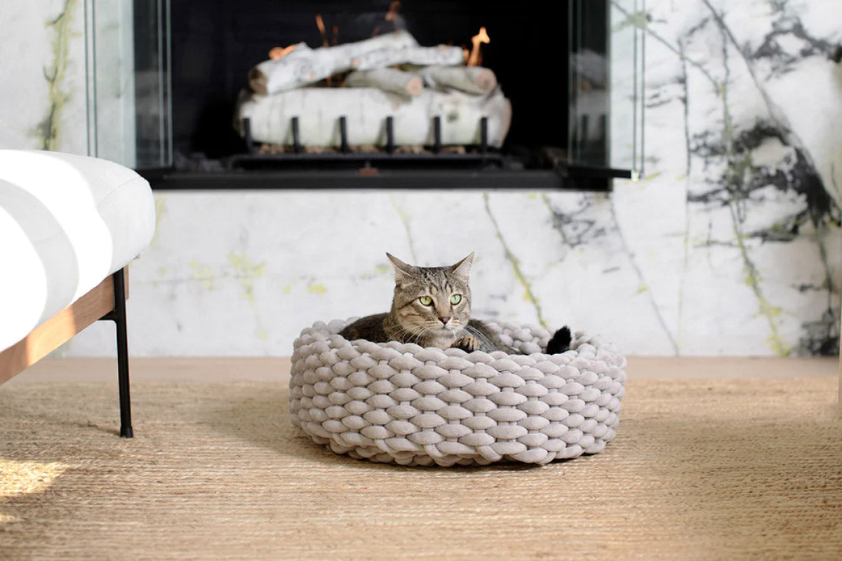 Vevo Single – Velvety Cat Bed Basket - Irresistible to cats and humans ...