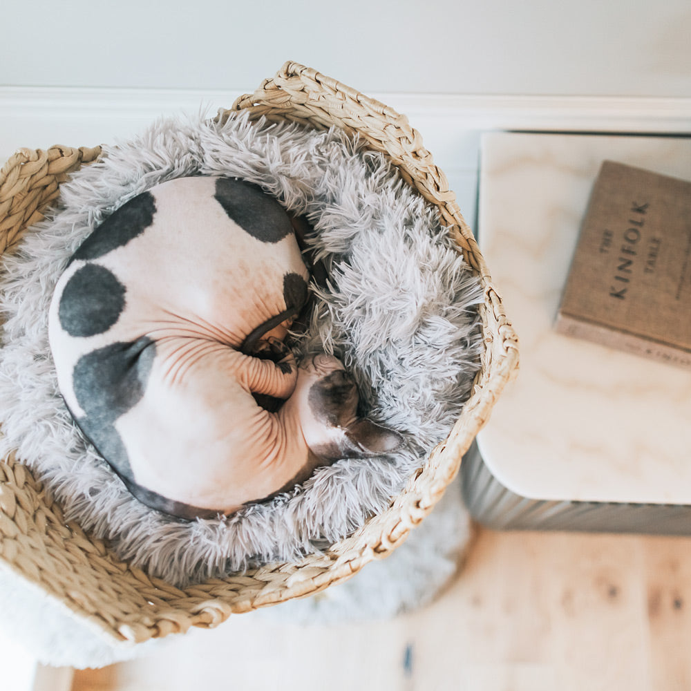 Uni Basket – Wooden Cat Tree - Unique Cat Tree – Cat Tower | Mau