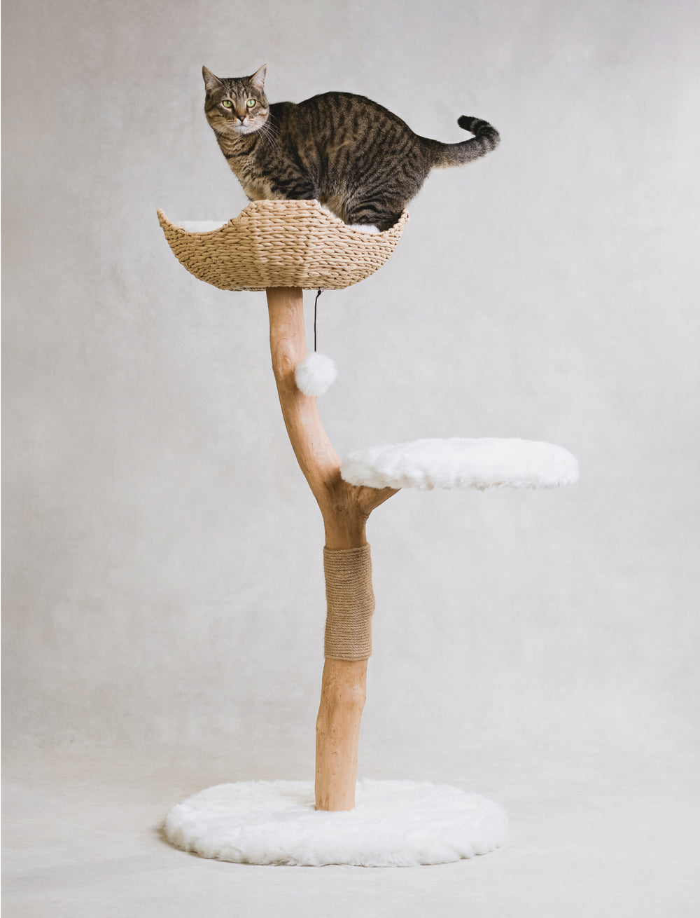 Sustainability – Mau