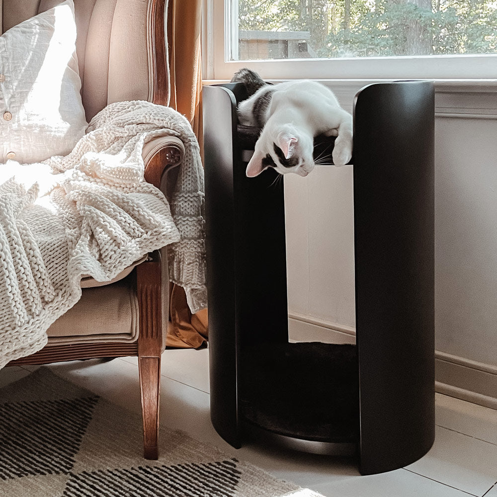 Castillo Cat Tree For Large Cats, Sleek Wooden Cat Tree, Modern Design ...