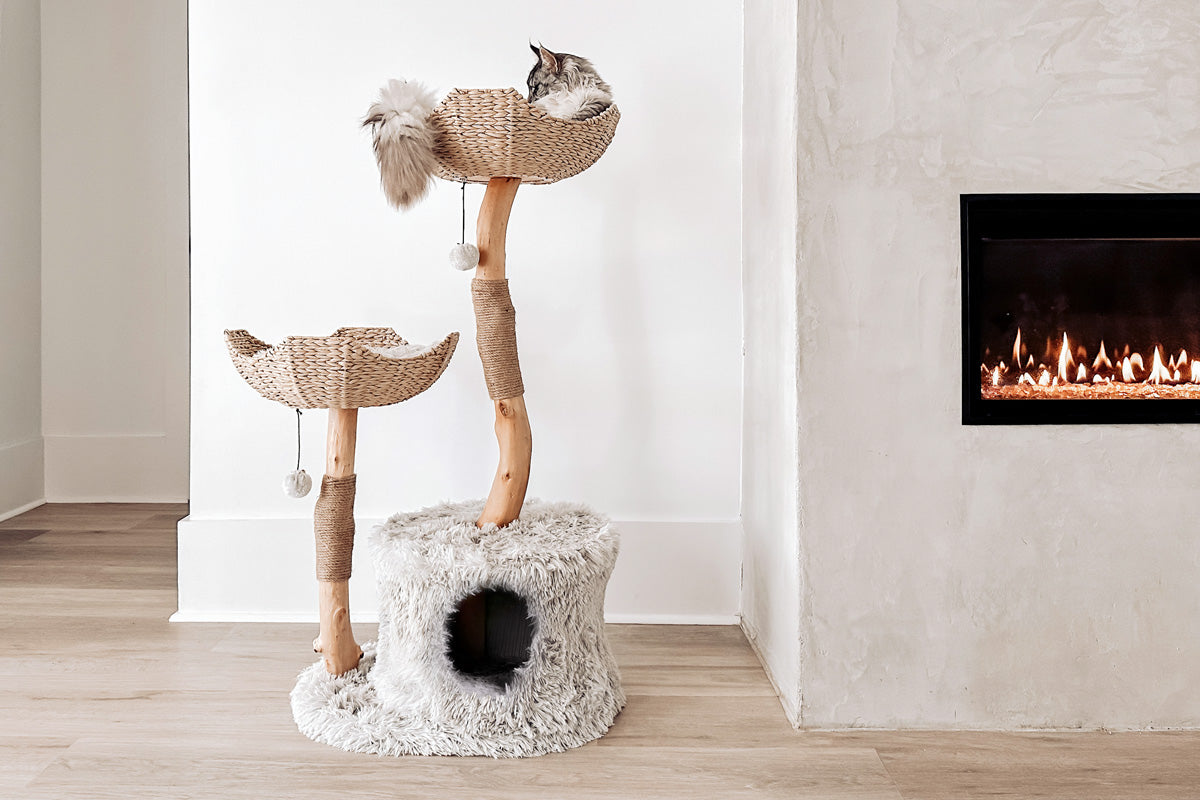 Cat Trees For Large Cats, Wicker Cat Tree, Cat Tree With Basket – Mau