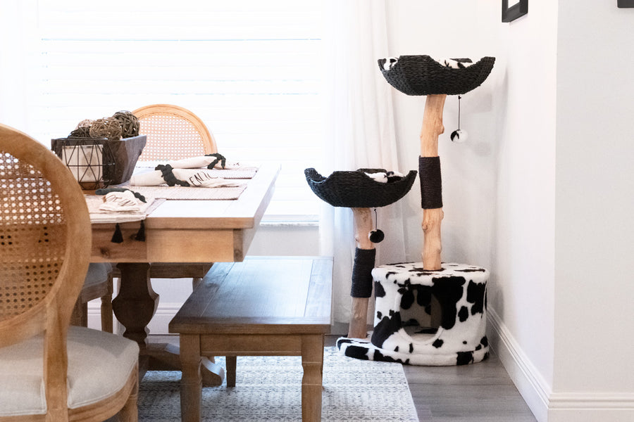 Modern Cat Tree, Best Cat Tree, Best Cat Towers, Luxury Cat Tree – Mau