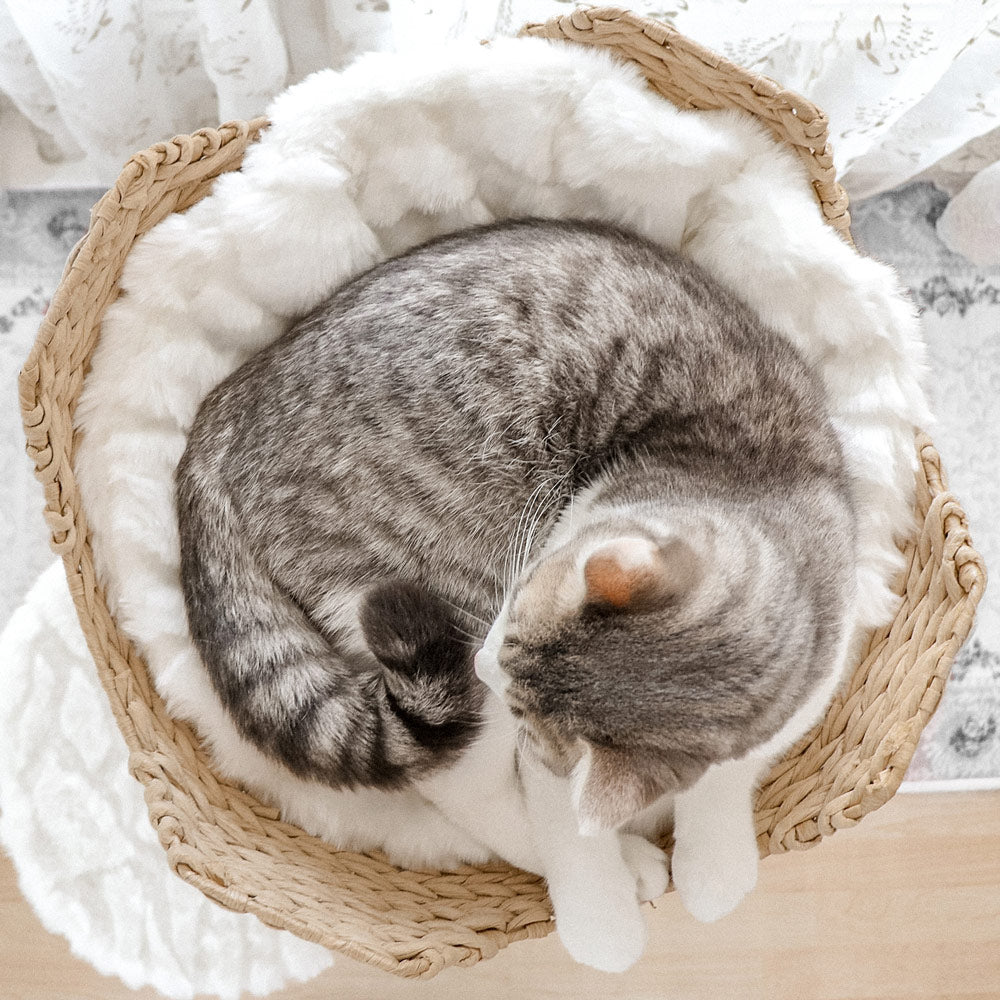 Uni Basket – Wooden Cat Tree - Unique Cat Tree – Cat Tower | Mau