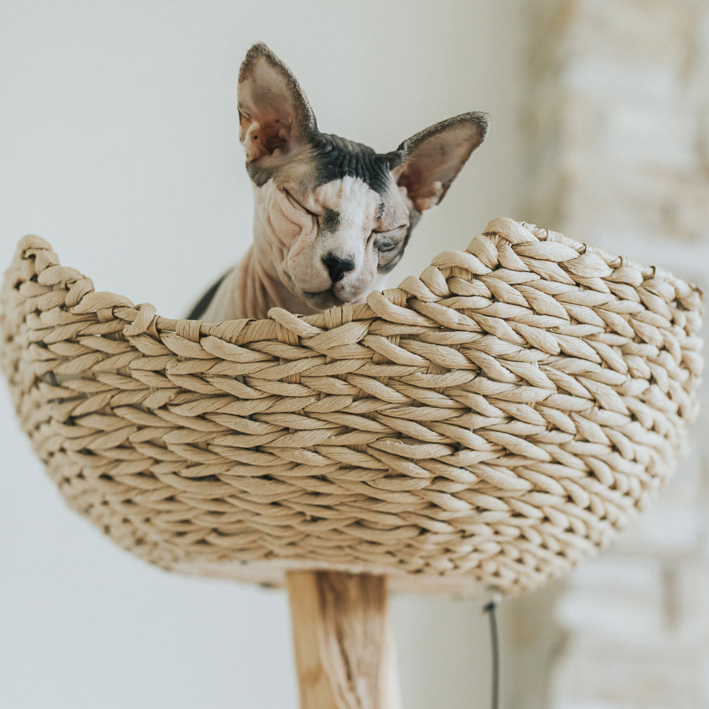 Uni Basket – Wooden Cat Tree - Unique Cat Tree – Cat Tower | Mau