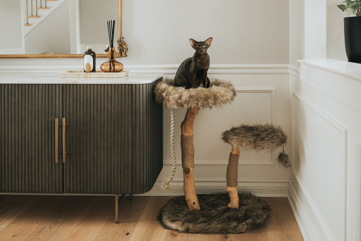 Cat Tree Tower, Modern Wood Cat Tree, Fluffy Cat Tree – Mau
