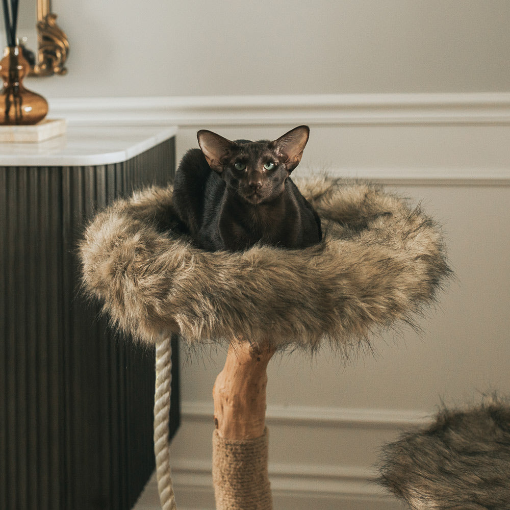 Cat Tree Tower, Modern Wood Cat Tree, Fluffy Cat Tree – Mau