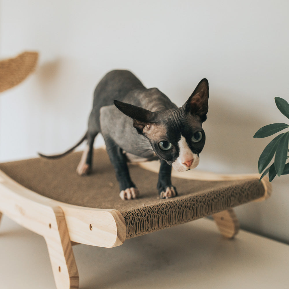 Modern Wooden Cat Scratcher For Beautiful Homes | MAU – Mau