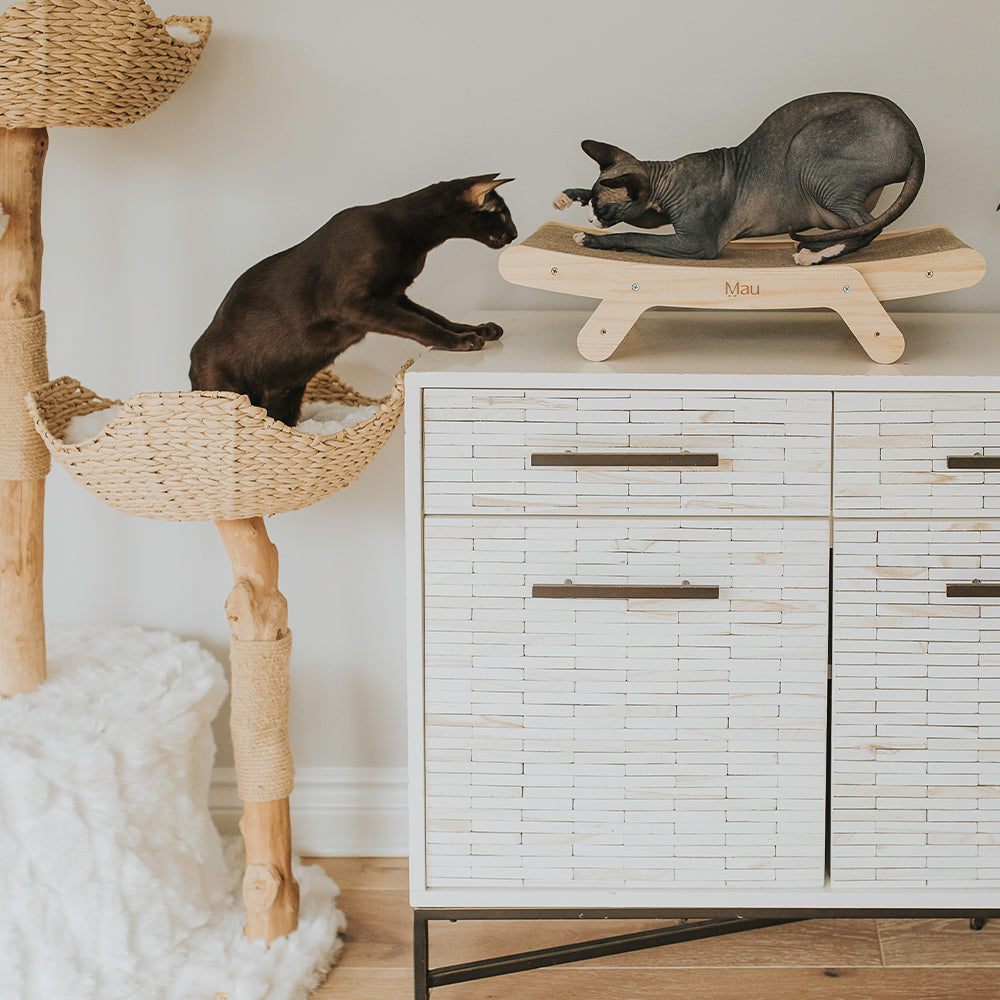 Modern Wooden Cat Scratcher For Beautiful Homes | MAU – Mau