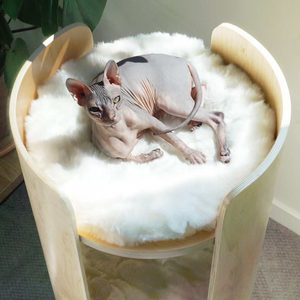 Castillo Plywood Bended Cat Tree, Modern Cat Tree, Mau Lifestyle