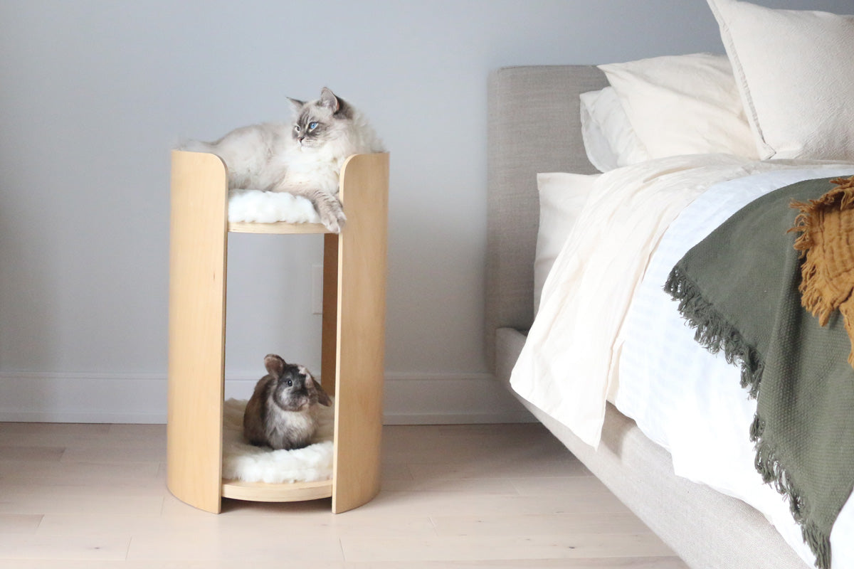 Castillo Cat Tree For Large Cats, Sleek Wooden Cat Tree, Modern Design ...