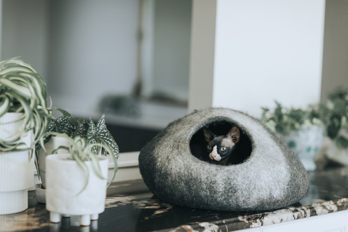 Skyline Cat Cave - Modern Cat Bed - Modern Cat Furniture | Mau