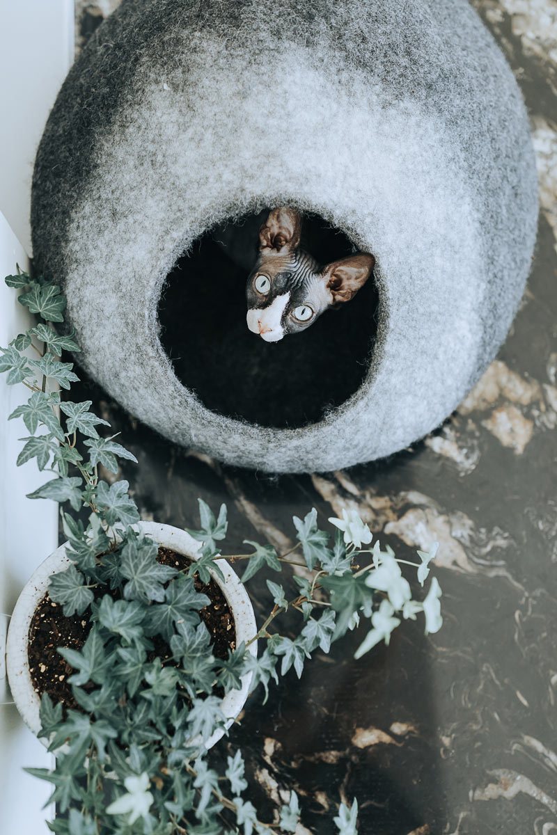 Skyline Cat Cave - Modern Cat Bed - Modern Cat Furniture | Mau